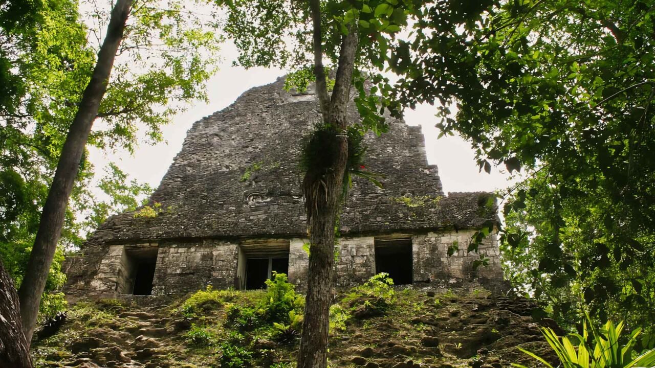 What to Expect from a Day Tour of Tikal - Tikal One Day Tours
