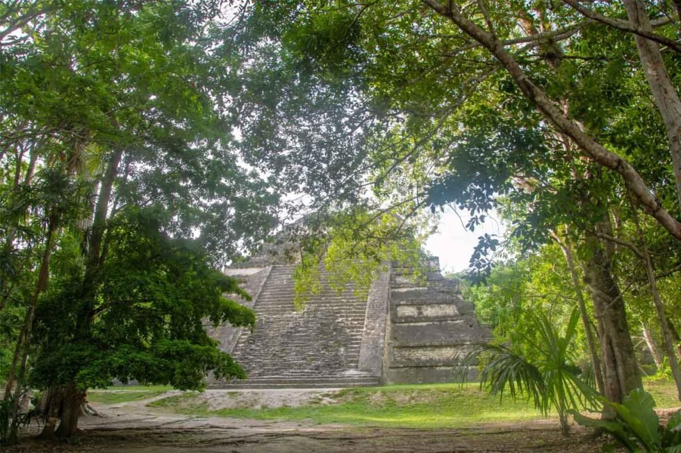 Explore Mayan Astronomy at Tikal: A Celestial Journey