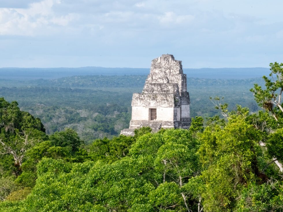Tikal Temples: A Majestic Guide to Must-See Sites: